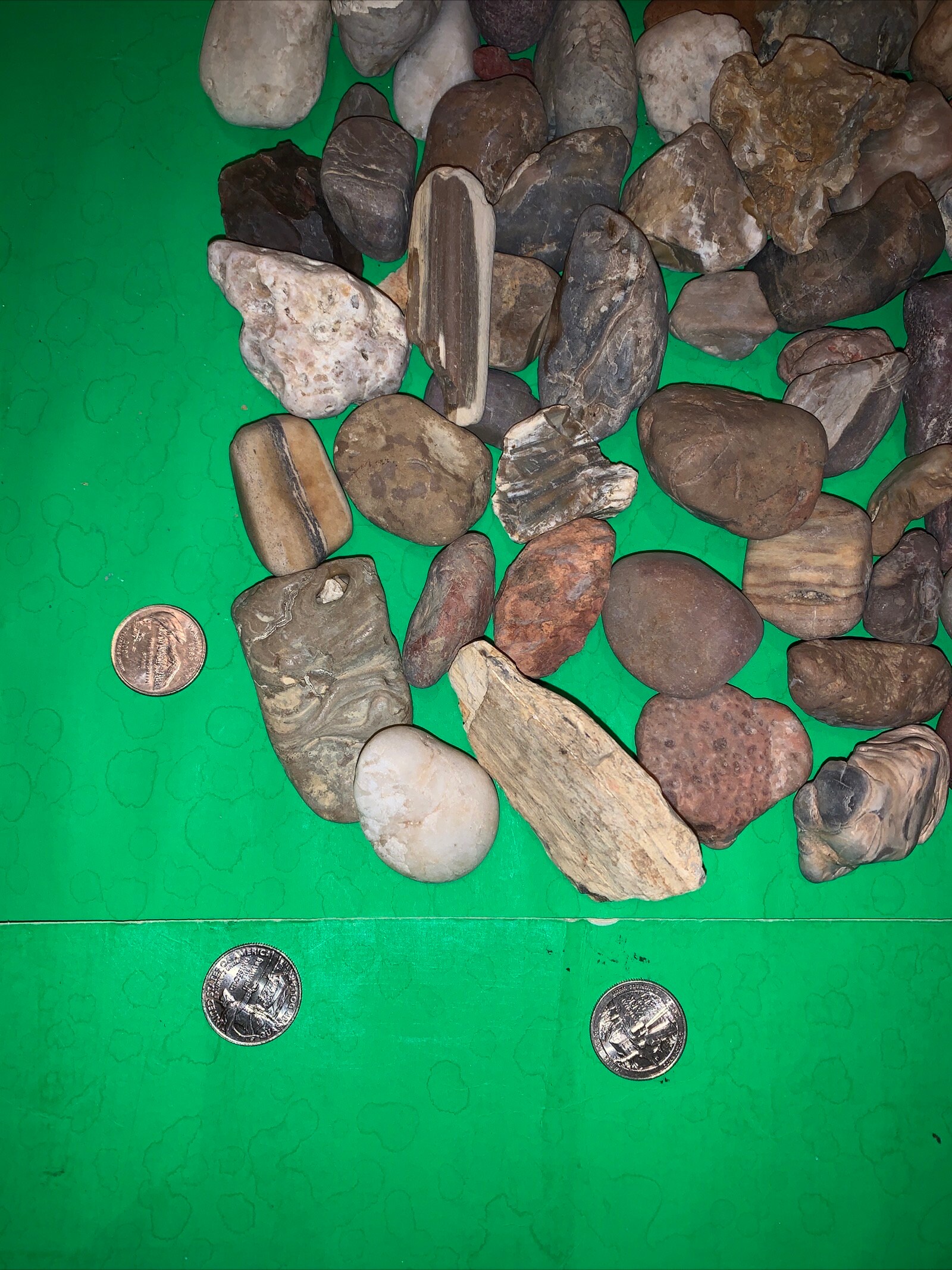 8 Pounds of Bogue Chitto River Rocks Medium 1 1/2- 3 Inch Found by Wil ...