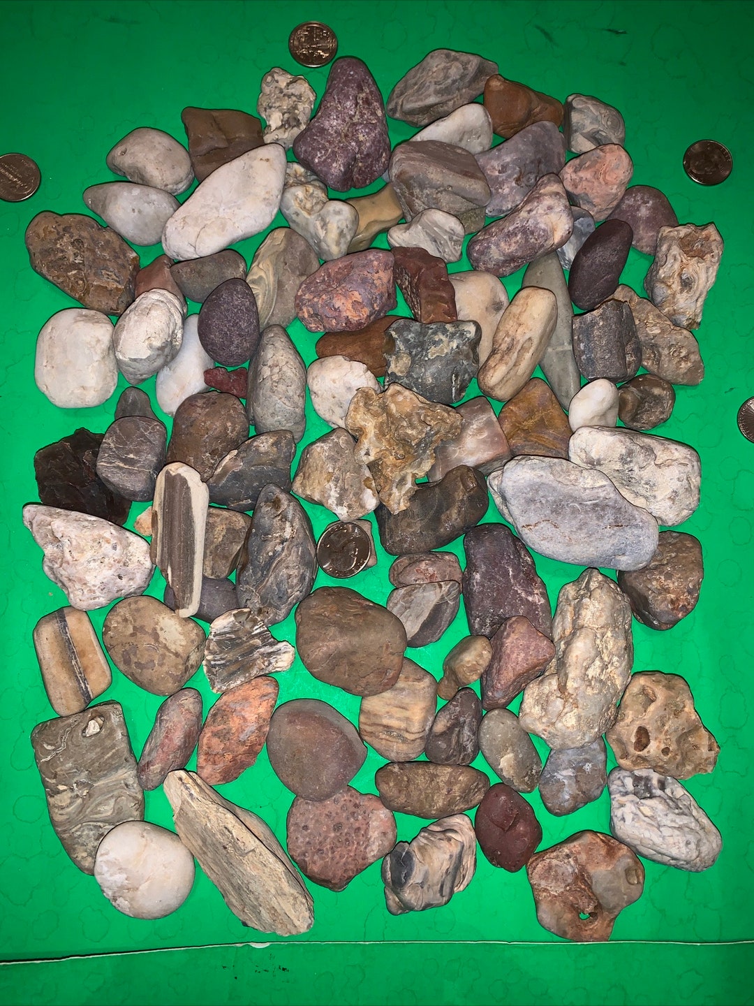 8 Pounds of Bogue Chitto River Rocks Medium 1 1/2- 3 Inch Found by Wil ...