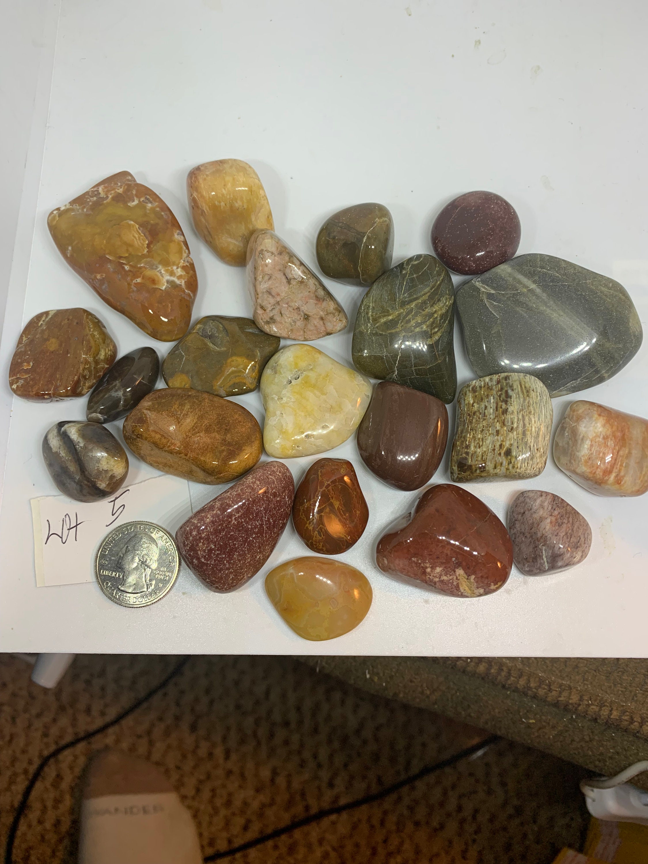 1 Pound Tumbled River Rocks Jasper Agate Petrified Wood #5 You Get ...