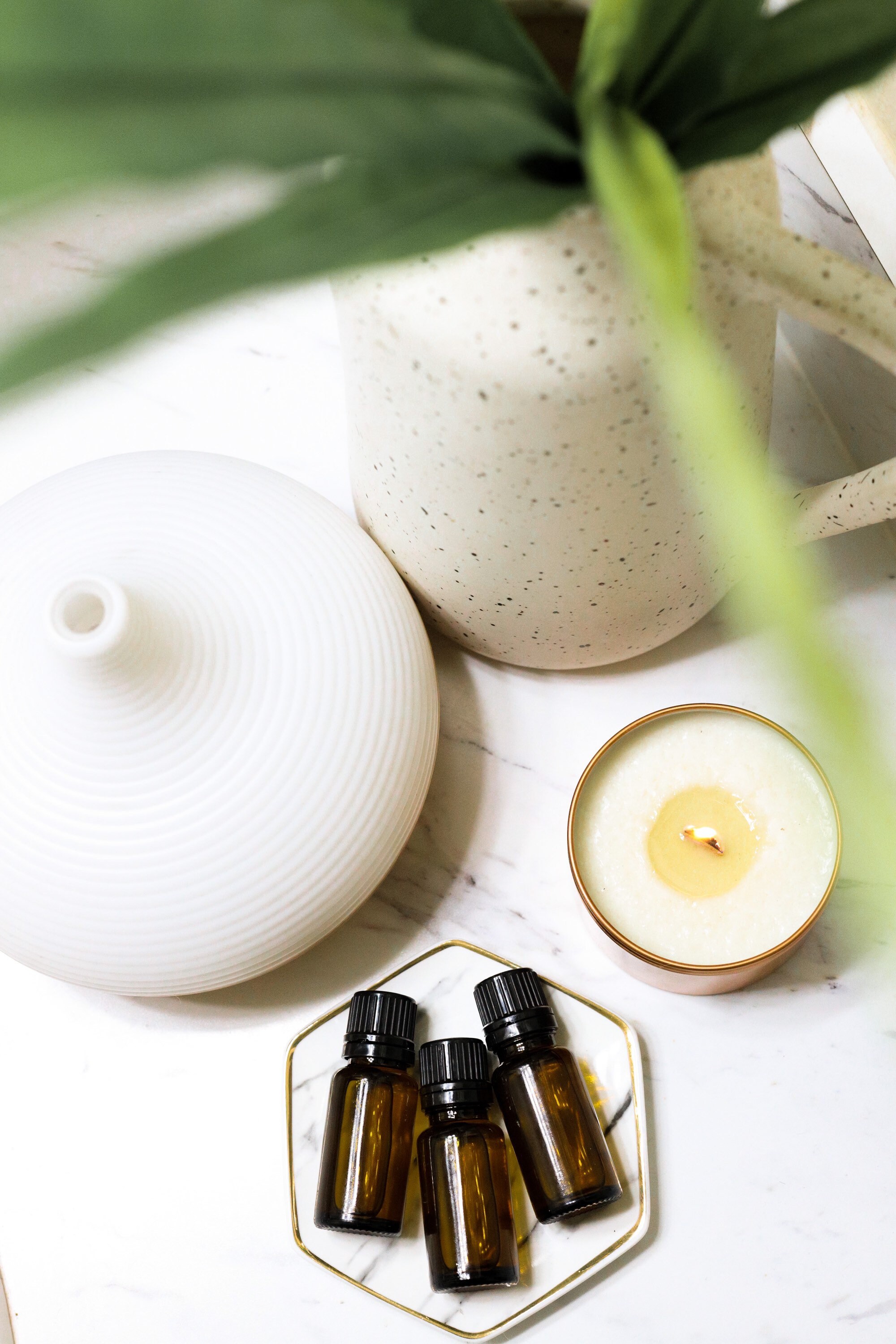 Clean Fragrance Oils for Diffusers, Warmers, and Room Sprays ...