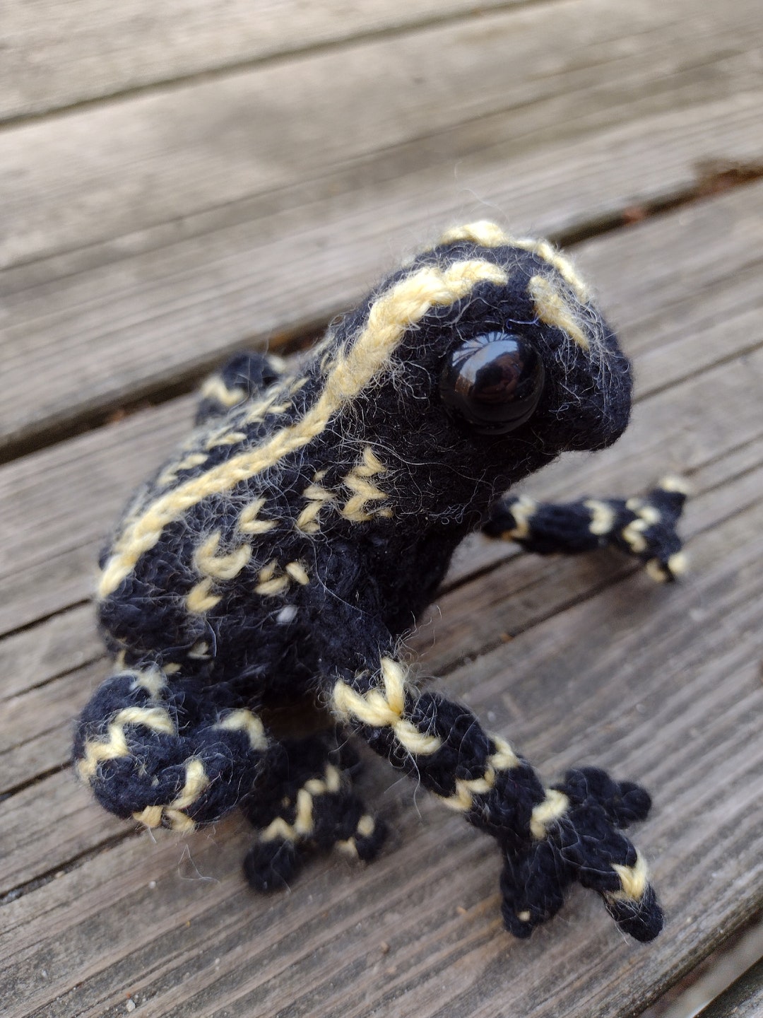 Tree Frog Rain Forest Amphibian Endangered Black Yellow Tropical ...