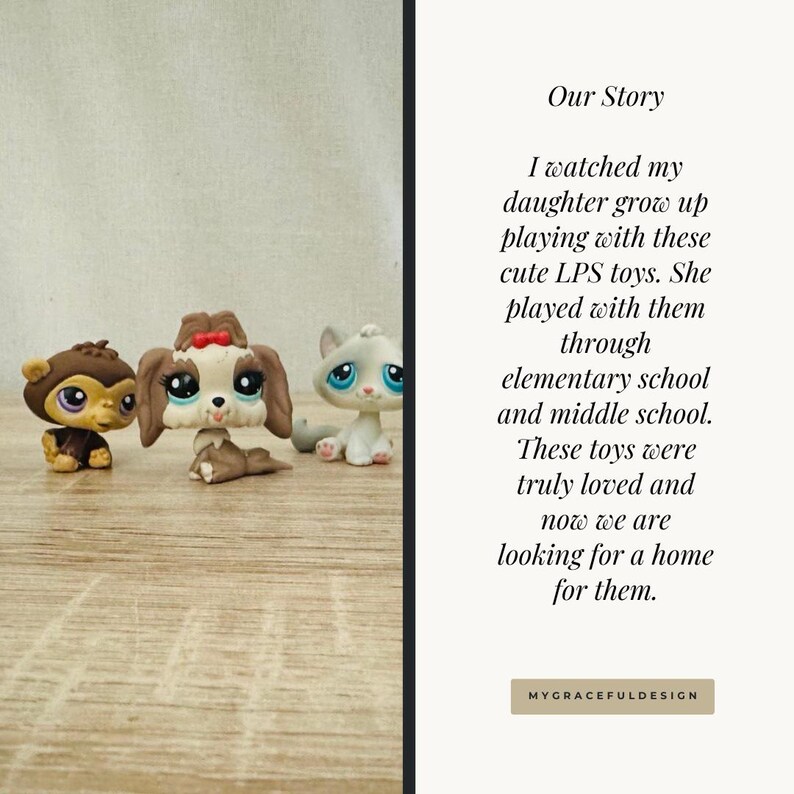 Vintage LPS Toys • Collectible Littlest Pet Shop • Rare Find • Stocking ...