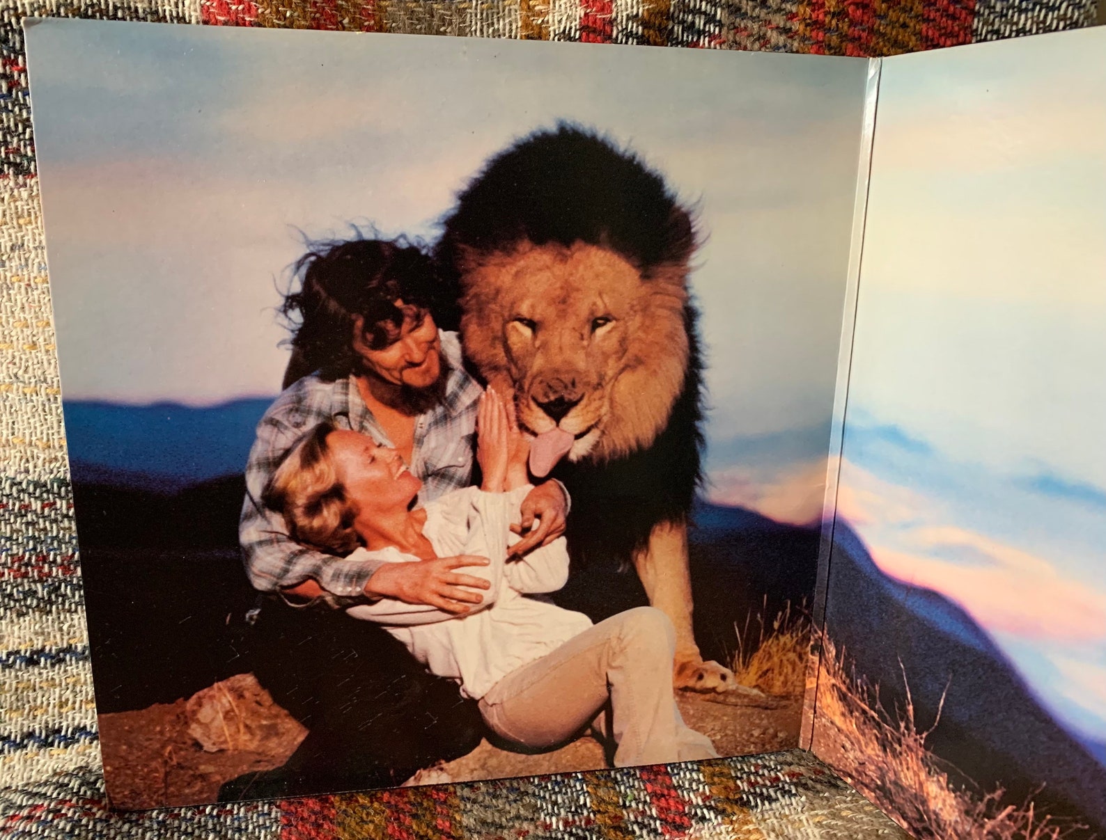 ROAR Soundtrack LP Vinyl Record Original | Etsy