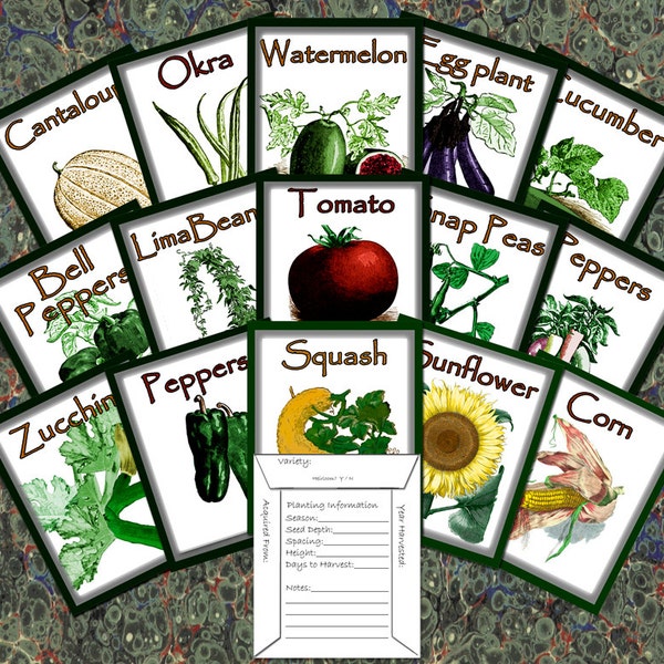 Seed Saving Envelope - Etsy