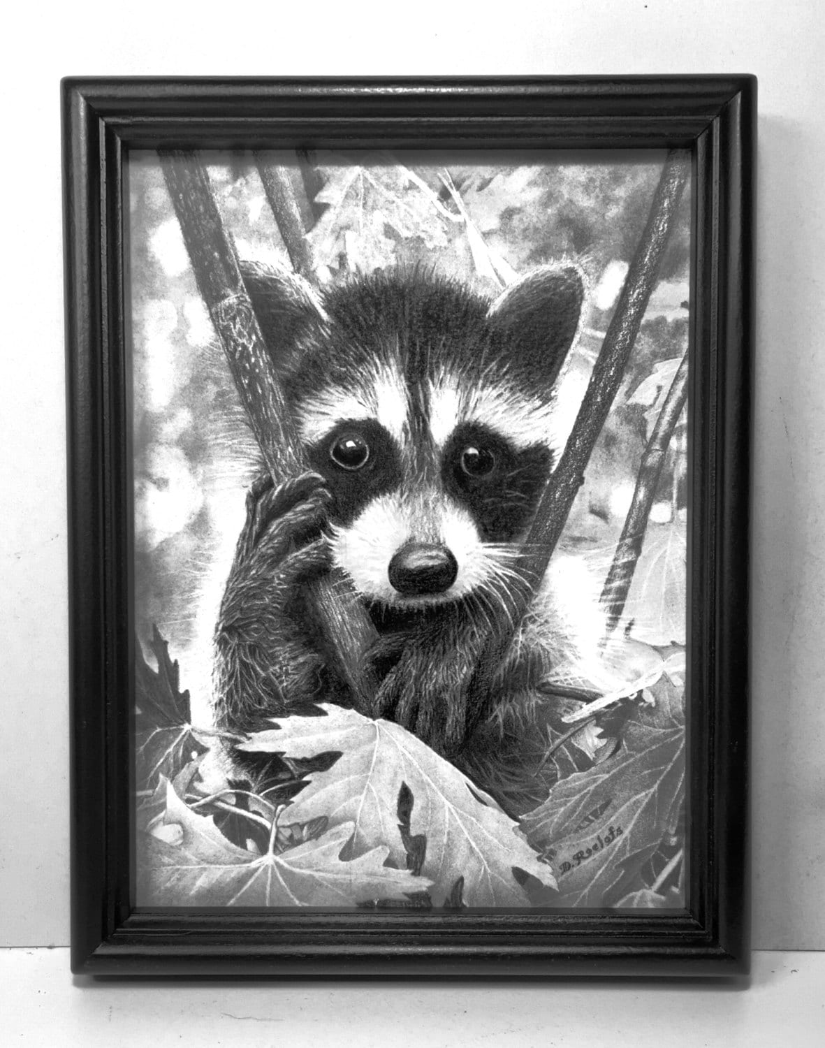 Cute Baby Raccoon Drawing