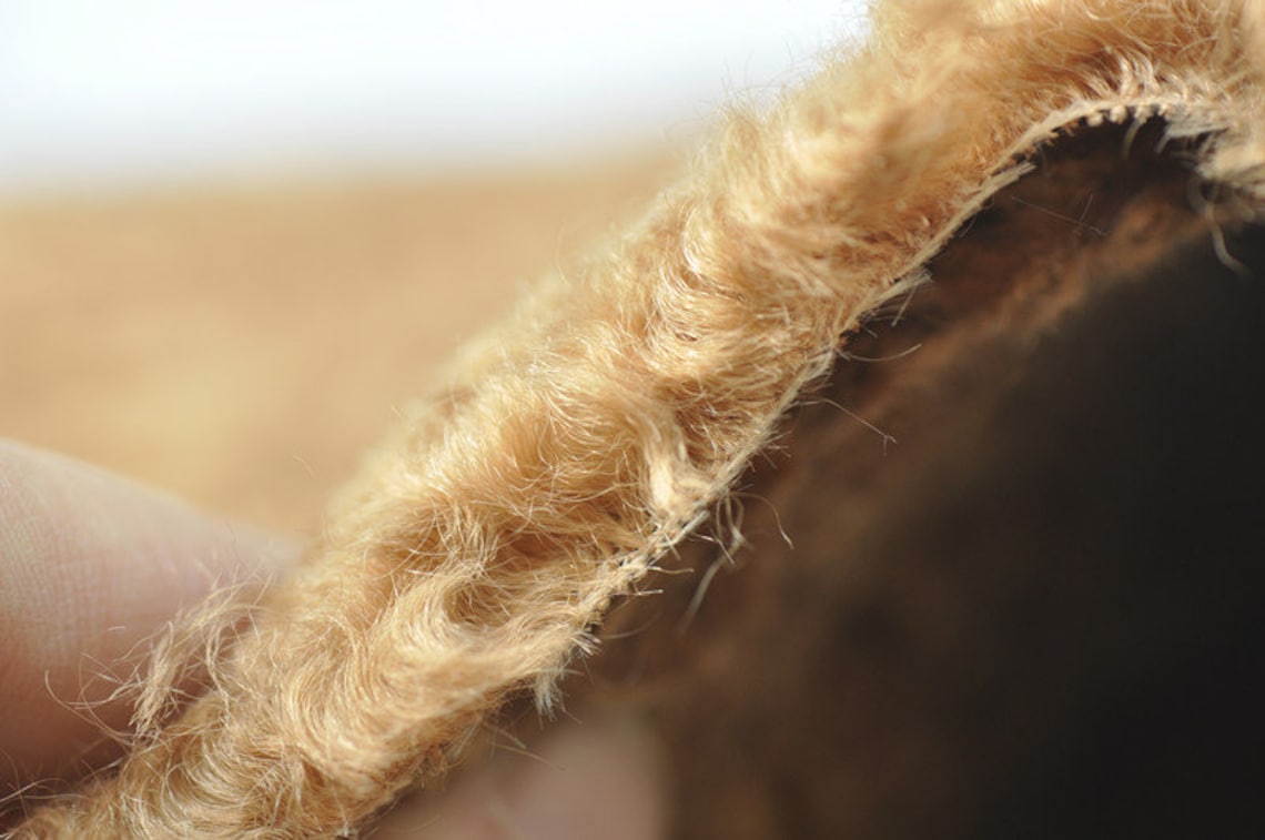 Teddy Bears Fabric Soft Fabric for Toy Stuffed Animal Making - Etsy