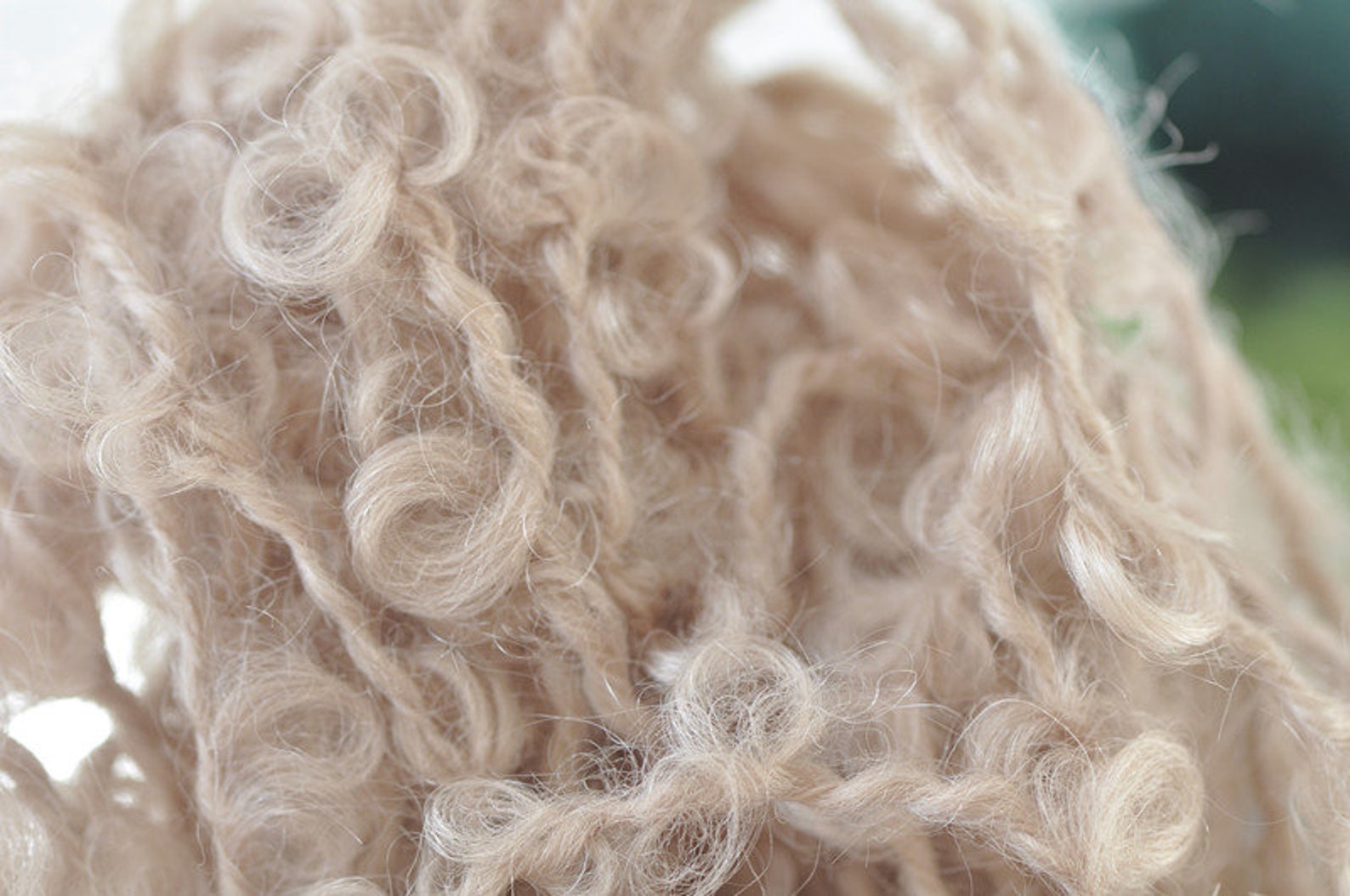 Angora Goat Mohair Curls Needle Felting Wool Doll Hair | Etsy