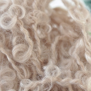 Angora Goat Mohair Curls Needle Felting Wool Doll Hair Blending Fiber ...