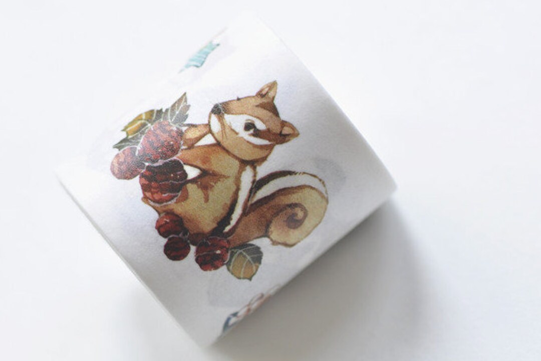 Retro Wide Washi Tape Bird Squirrel Bunny Masking Tape 40mm Wide X 5M ...