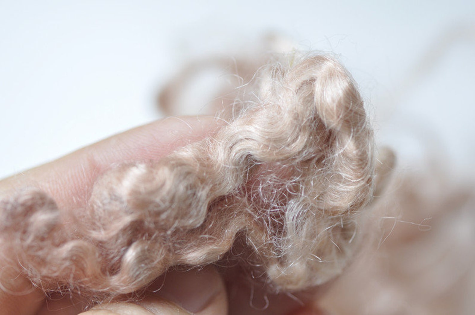 Angora Goat Mohair Wool Curls for Teddy Beardoll Hair | Etsy