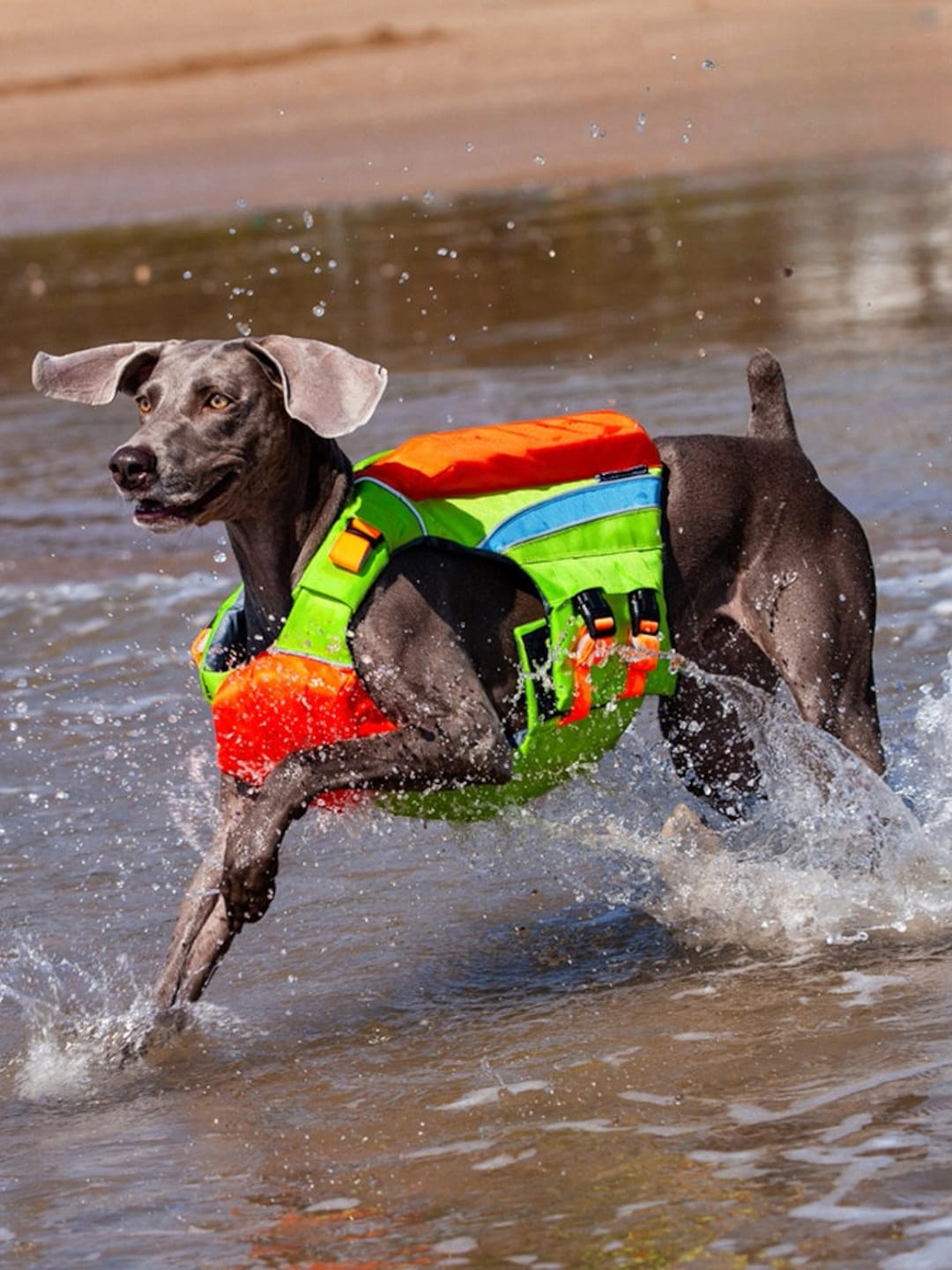 Dog Life Jacket, Dog Large Buoyancy Jacket, Medium and Large Dog Life ...