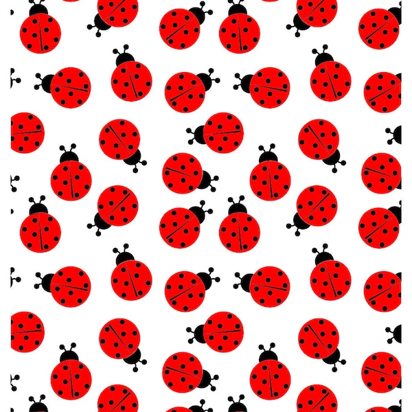 Moiko Silk Screen - Etsy