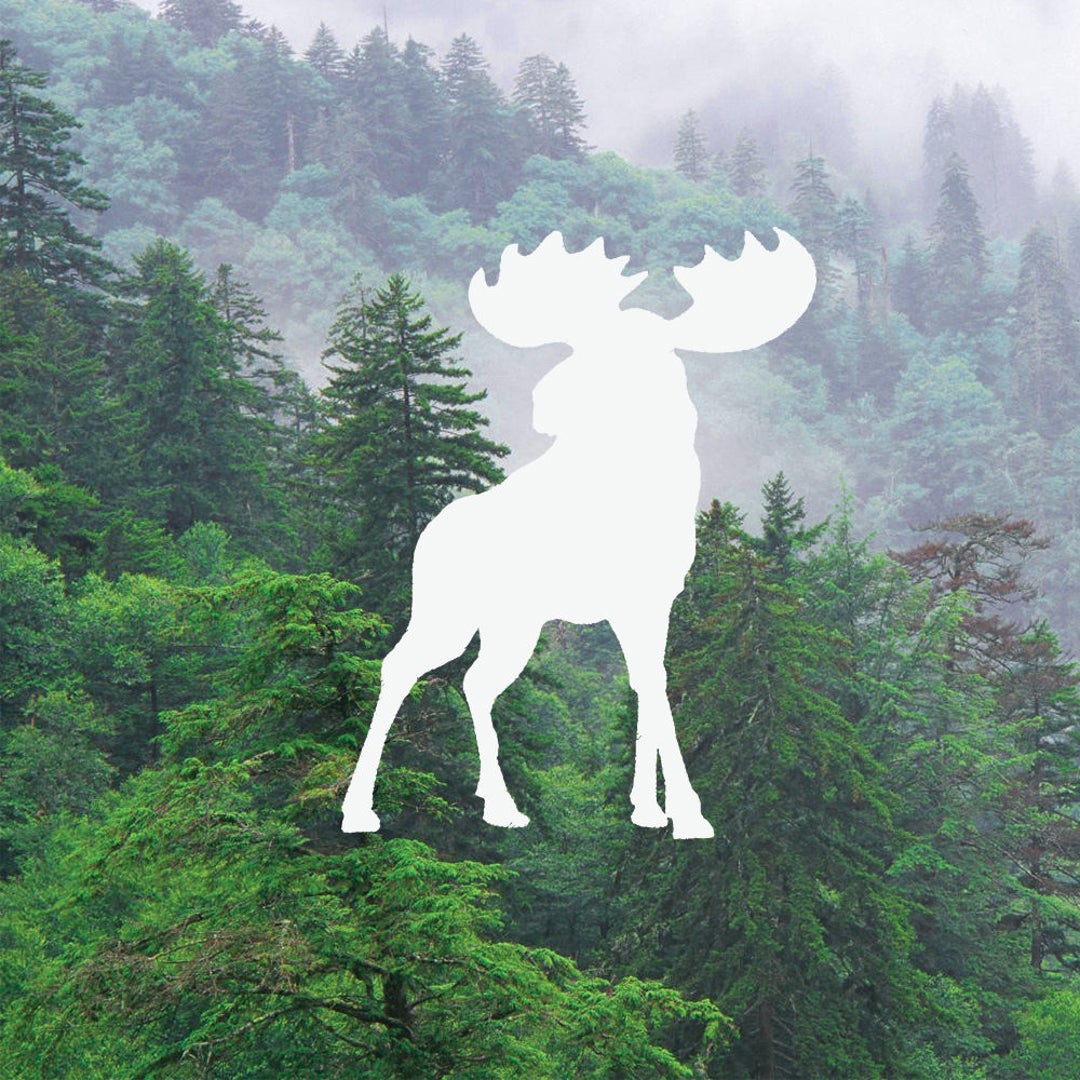 Moose Decal, Mountain Moose Decal, Adventure Decal, Nature Decal, Car ...