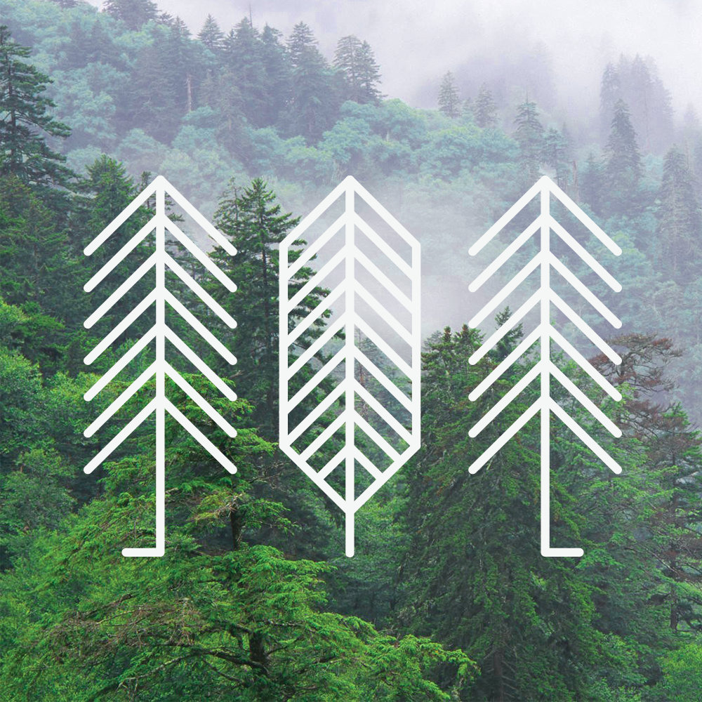 Trees Decal Geo Trees Sticker Trees Laptop Decal Nature | Etsy