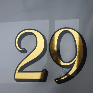 Custom Fanlight Door Number With a Bold Black Shadow, Classic Victorian ...