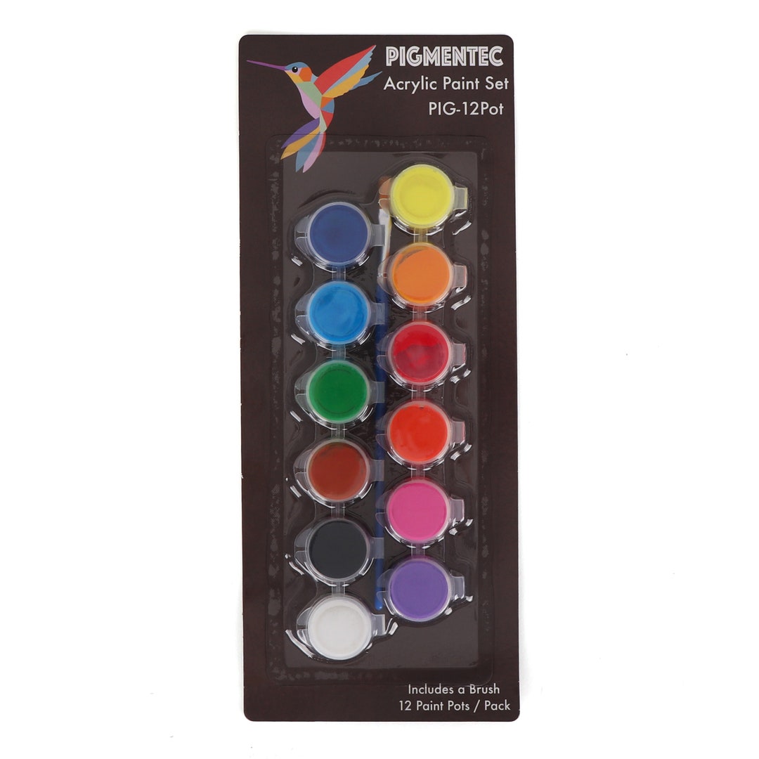 Acrylic Paint Set Vibrant Paint Kit Acrylic Paint Cups Paints for Kids ...