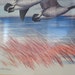 Mark Reece "honkers-canada Geese" Signed Lithograph - Etsy