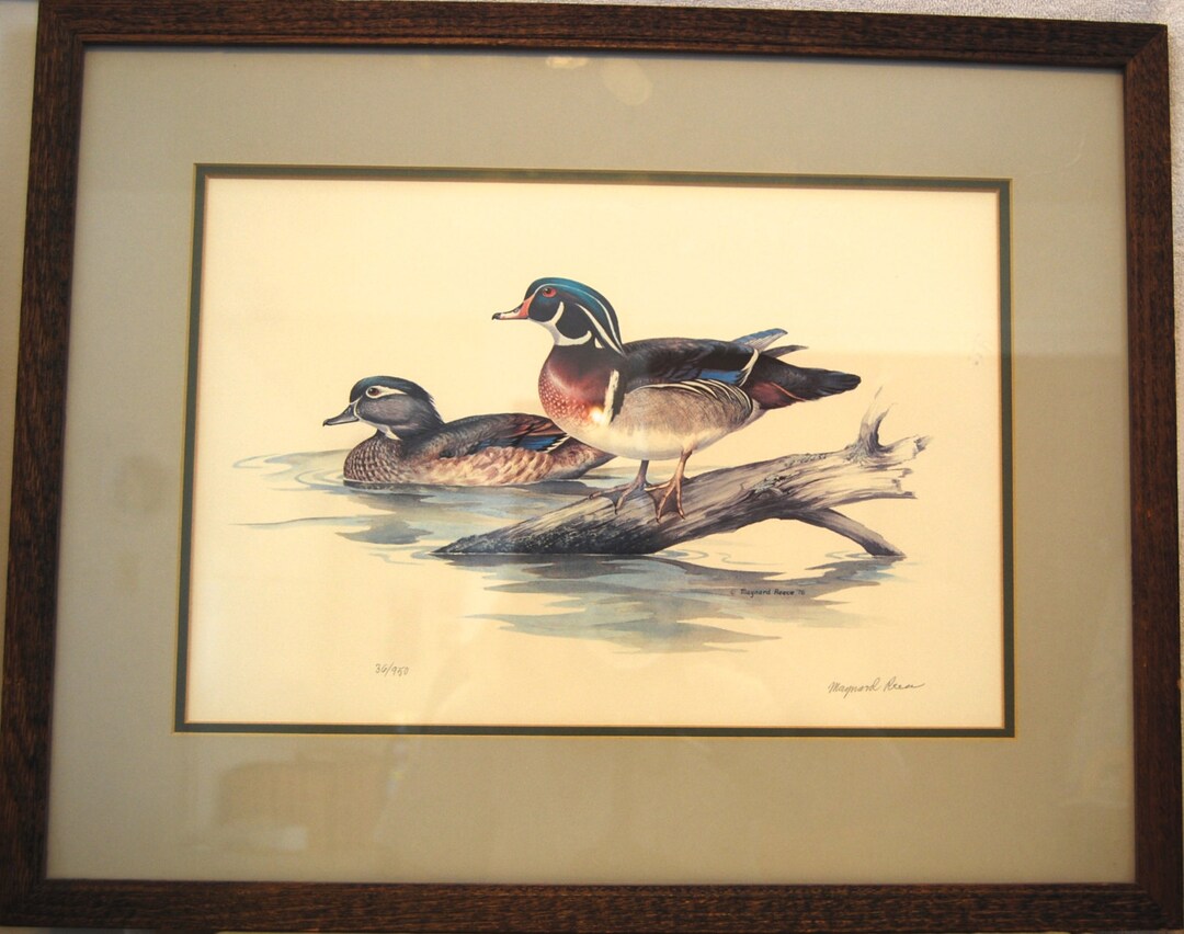 Maynard Reece "resting Ducks" Lithograph - Etsy