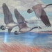 Mark Reece honkers-canada Geese Signed Lithograph - Etsy