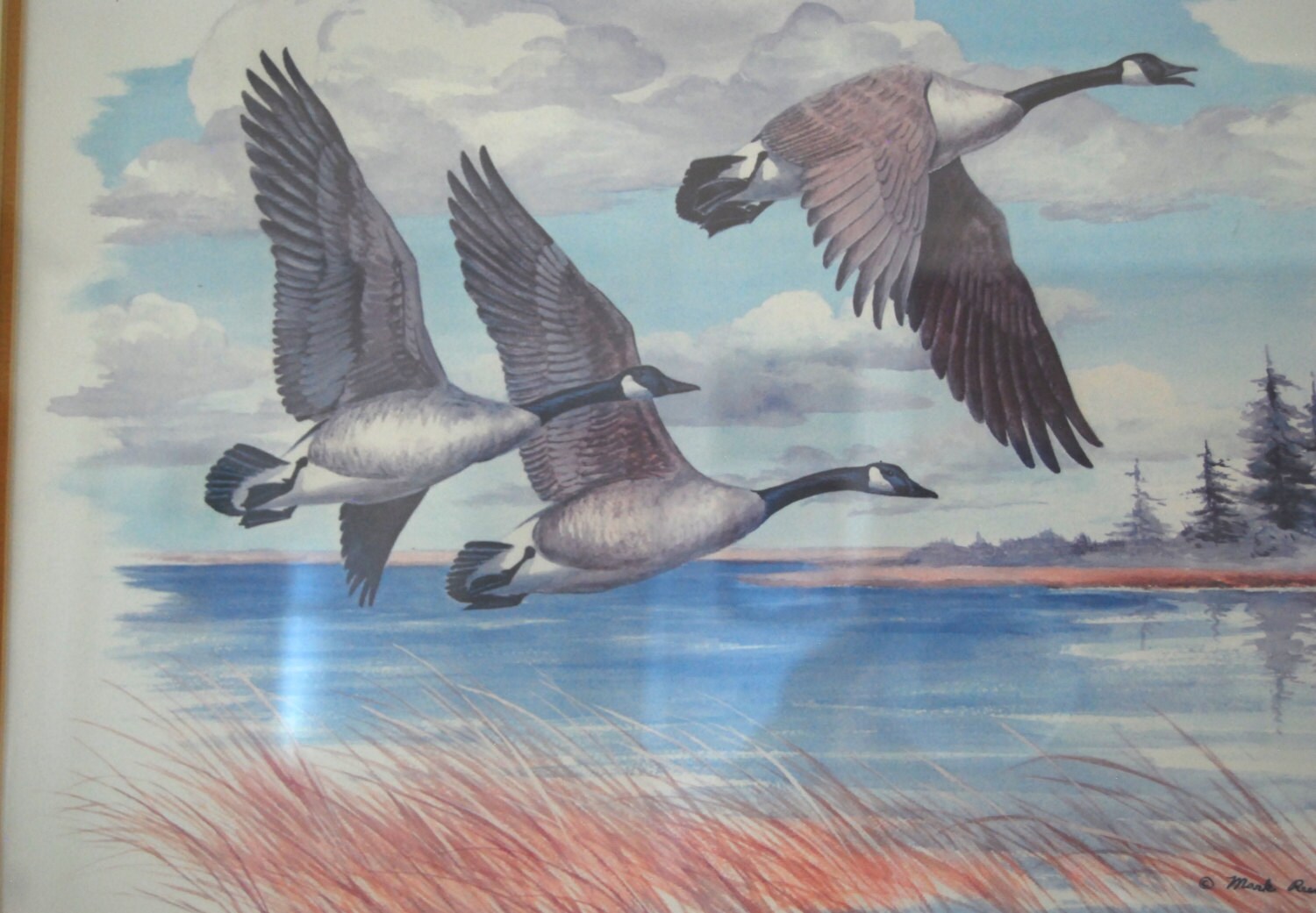 Mark Reece "honkers-canada Geese" Signed Lithograph - Etsy