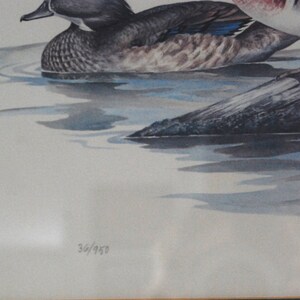 Maynard Reece "resting Ducks" Lithograph - Etsy