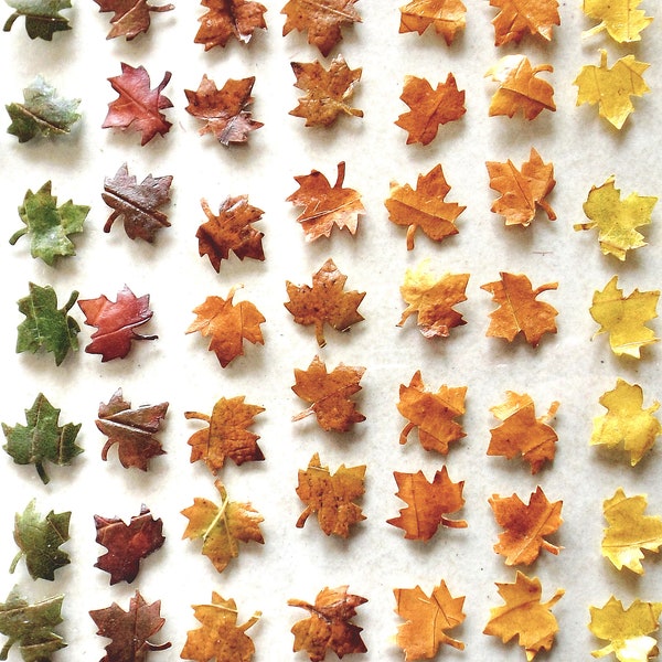 Miniature Leaves - Etsy