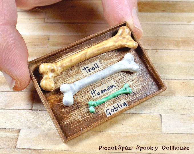 Bones Collection, Gothic Miniature, Haunted Dollhouse, Macabre 112 ...