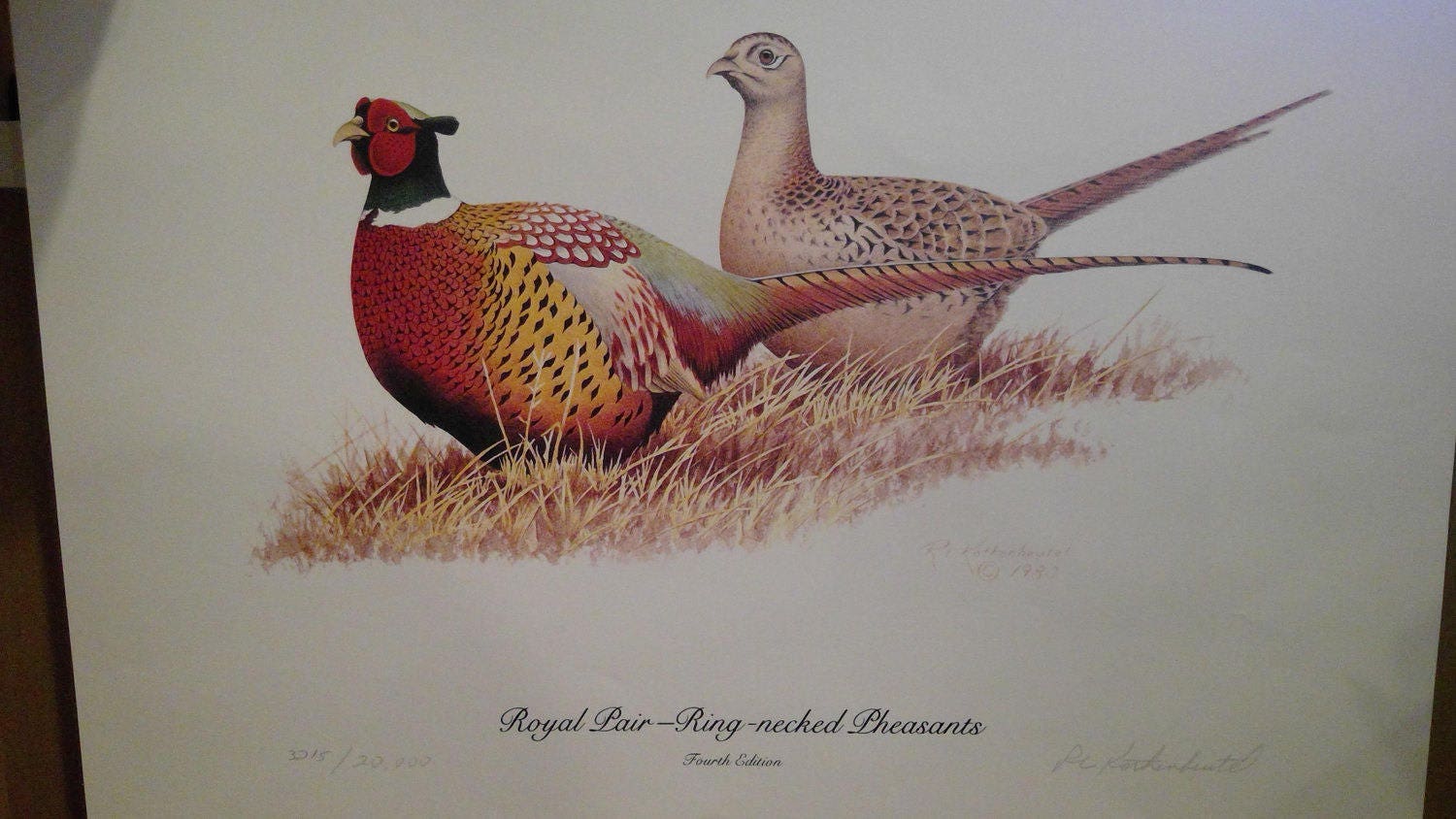 Ringneck Pheasant Pair