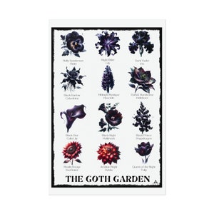 Goth Garden Wall Art--botanical Watercolor Illustration Poster - Etsy