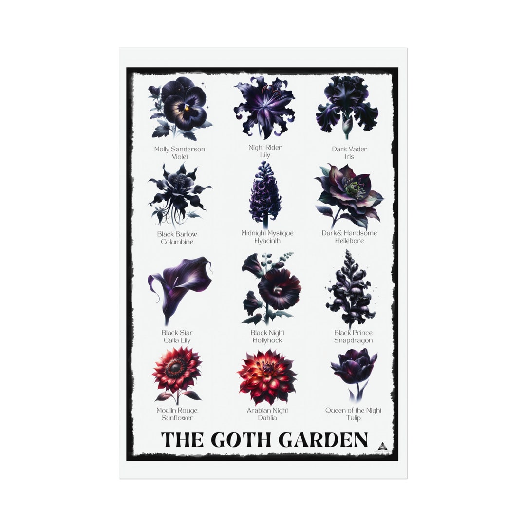 Goth Garden Wall Art--botanical Watercolor Illustration Poster - Etsy