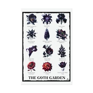 Goth Garden Wall Artbotanical Watercolor Illustration Poster - Etsy