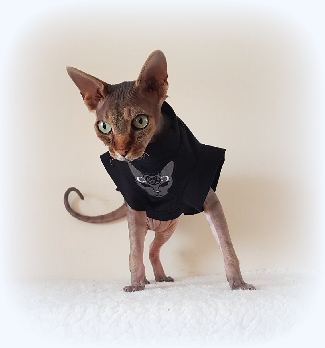 Fleece EVIL cat devil Sphynx cat clothes for a cat cat | Etsy
