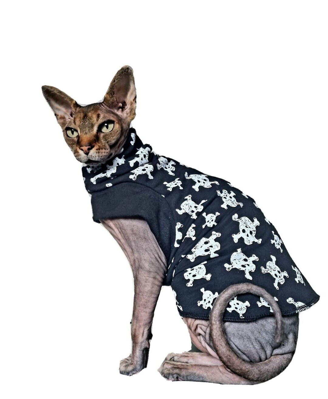 Sizes Comfy SKULLS Halloween Cat Costume for a Sphynx Cat, Soft Fleece ...