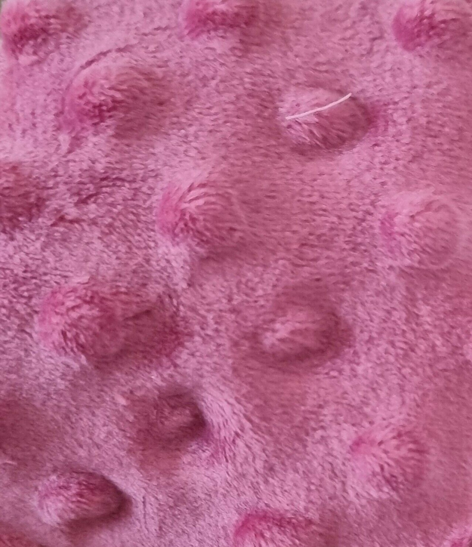 Sizes DIMPLES Clothes for a Sphynx Cat Sphynx Cat Clothes - Etsy UK