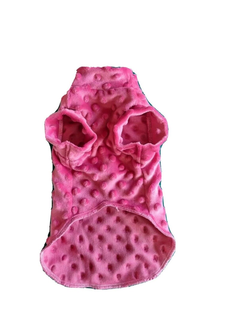 Sizes DIMPLES Clothes for a Sphynx Cat Sphynx Cat Clothes - Etsy UK