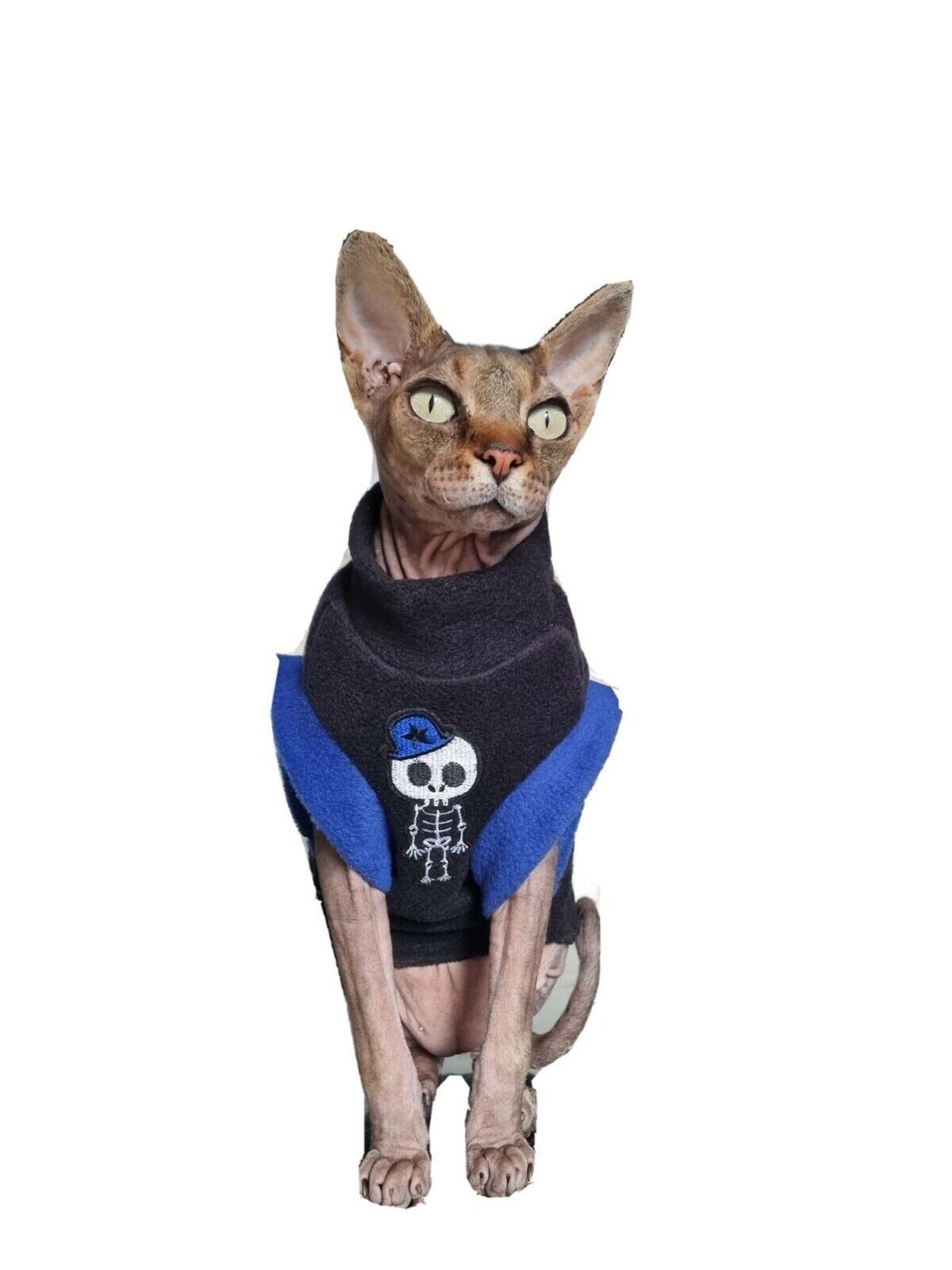 Sizes/colours SKELETON Cat, Devil Sphynx Cat Clothes for a Cat, Cat ...