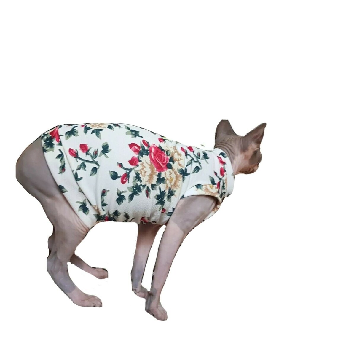 ECRU Clothes for a Cat. ,stretchy Cat Coat, Top for a Sphynx Cat - Cat ...