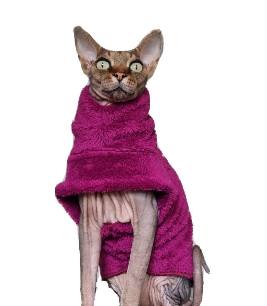 Fluffy BEETROOT Sphynx Cat Clothes: Stretchy Jumper, 1 Leg Hole - Etsy