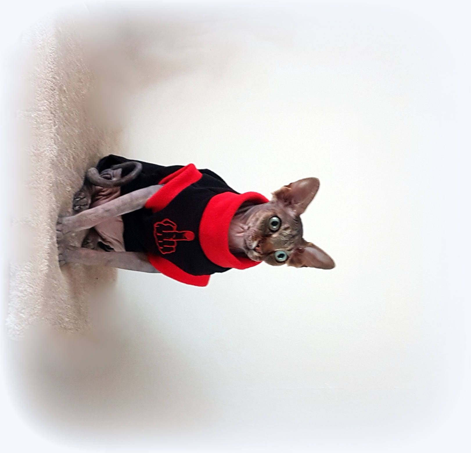 MIDDLE FINGER Sphynx Cat Clothes Cat Jacket Designer Pet - Etsy