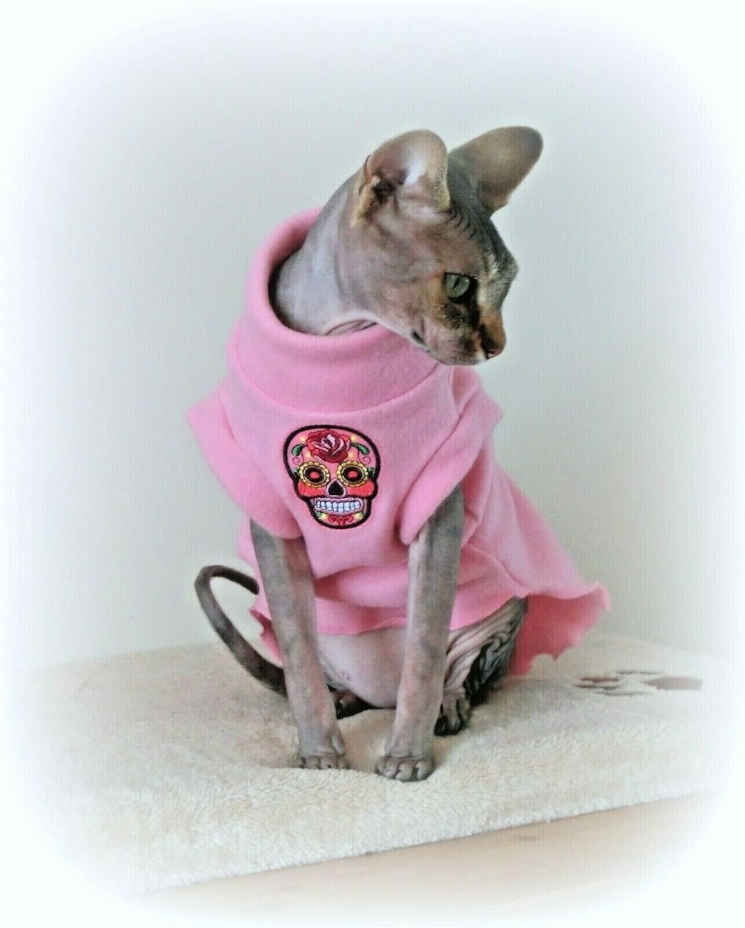 Sizes SKULL Halloween Costume, Clothes for a Sphynx Cat, Sphynx Cat ...