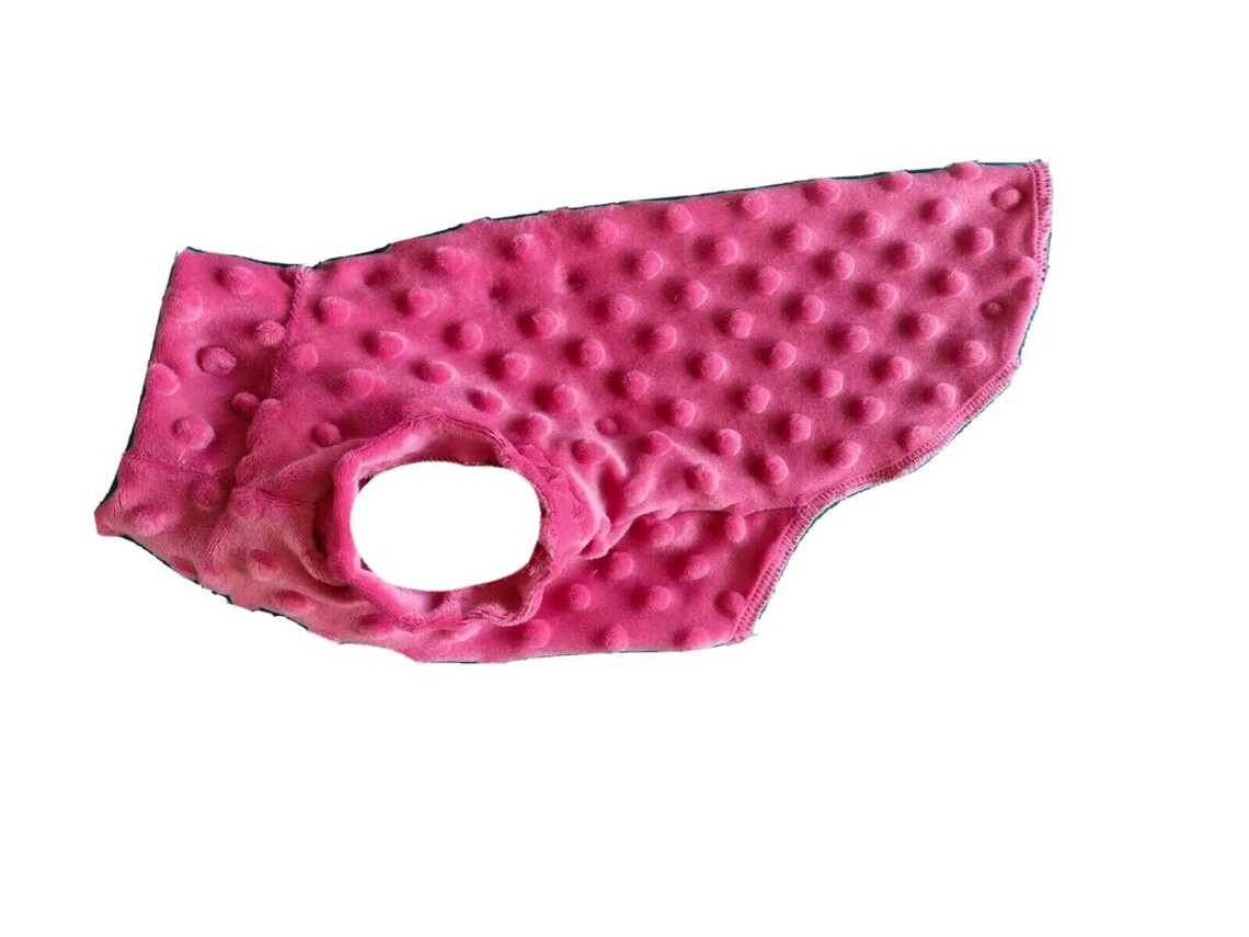 Sizes DIMPLES Clothes for a Sphynx Cat Sphynx Cat Clothes - Etsy UK