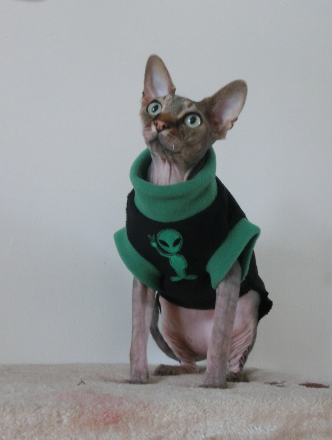 ALIEN Clothes for a Sphynx Cat Winter HOTSPHYNX Naked Cat Pet Clothes ...