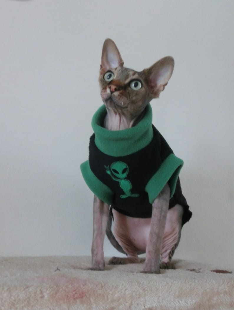 ALIEN clothes for a Sphynx cat winter HOTSPHYNX naked cat pet | Etsy