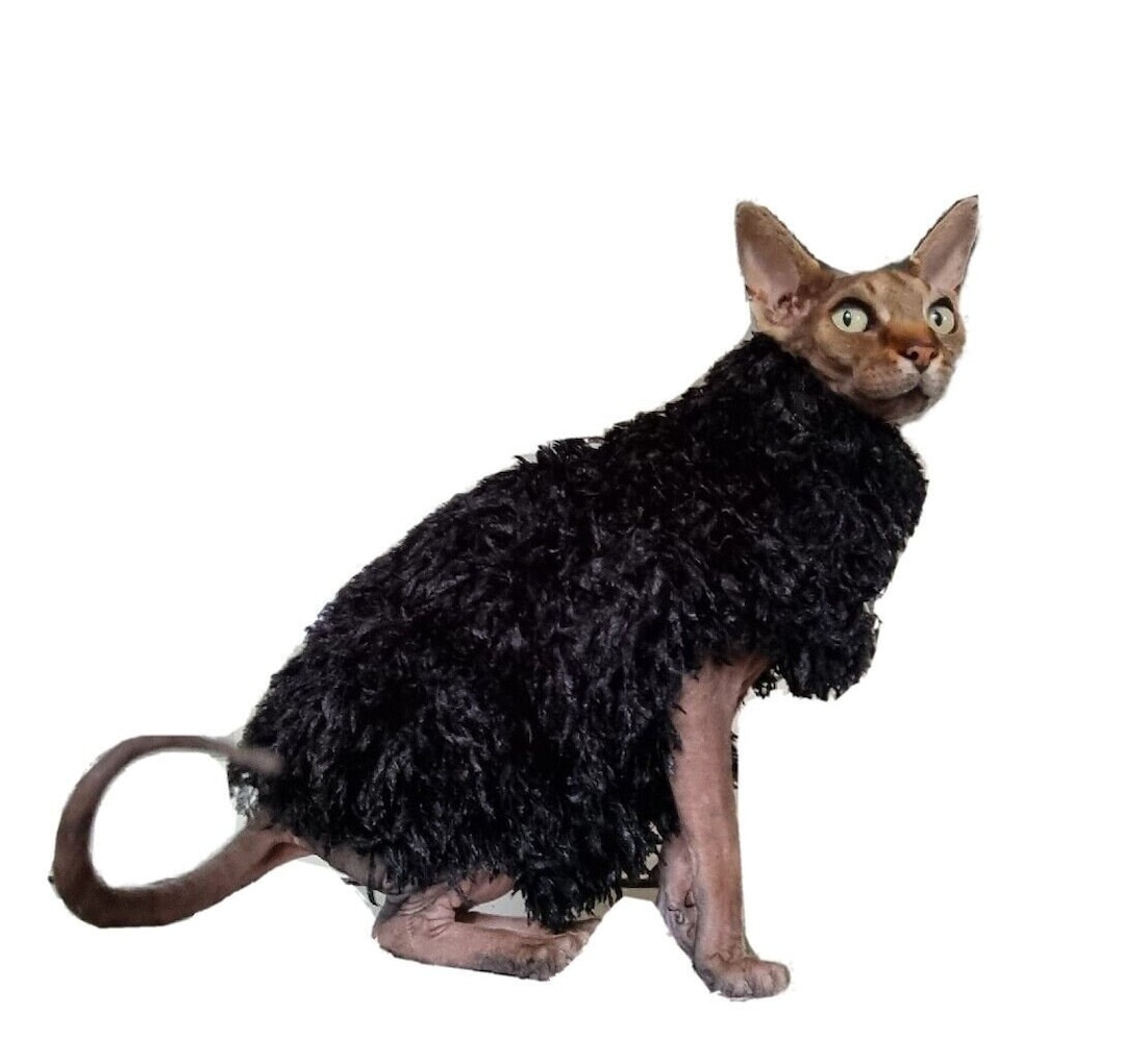 Sizes FEATHERY Cat Clothes for Sphynx Cat Clothes for a Cat, Top for a ...