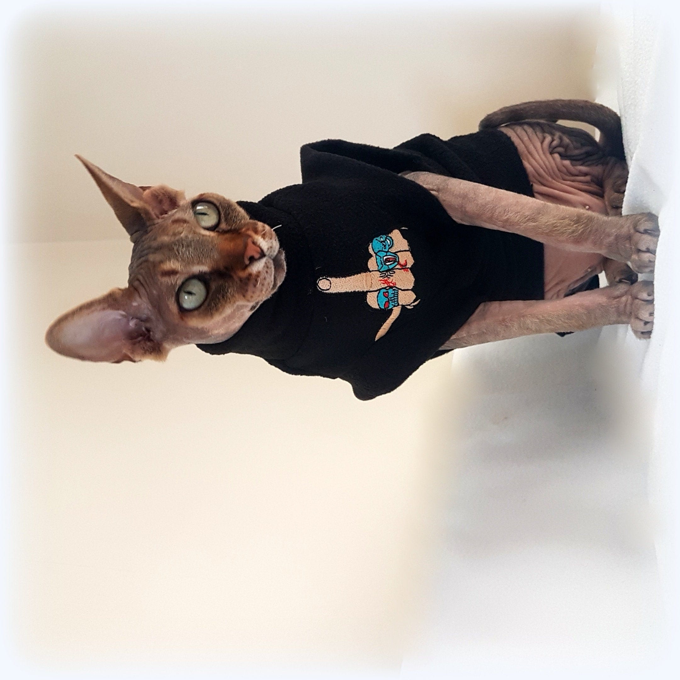 FINGER Clothes for a Sphynx Cat Sphynx Cat Clothes Pet | Etsy