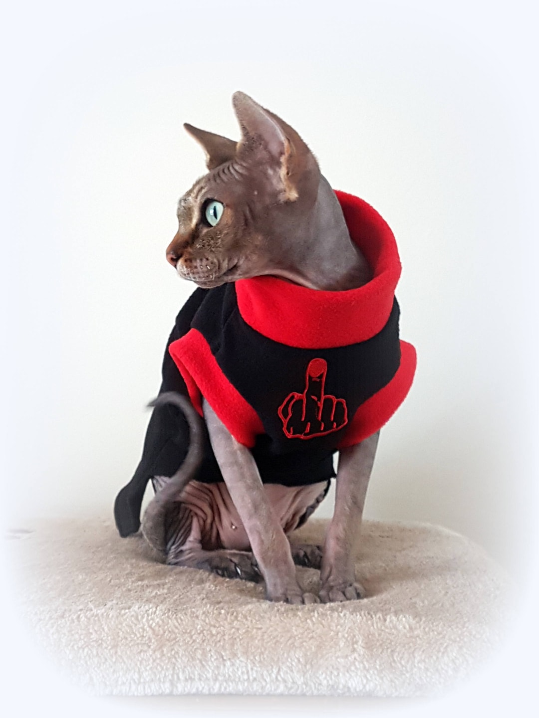 MIDDLE FINGER Sphynx Cat Clothes, Cat Jacket, Designer Pet Clothes ...