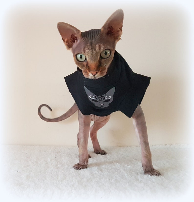 Fleece EVIL cat devil Sphynx cat clothes for a cat cat | Etsy