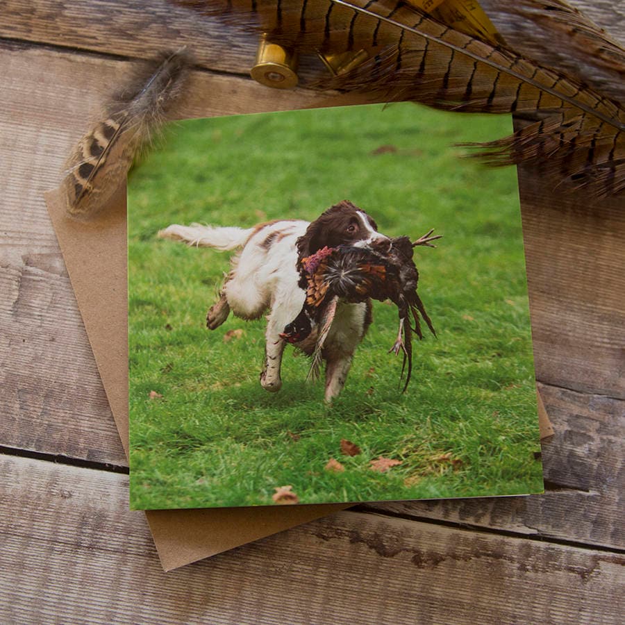 Pack of 10 Pheasant Shoot Greeting Cards - Etsy UK