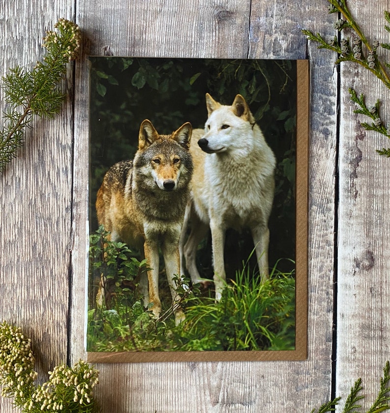 Wolf Greeting Card Greeting Card With Wolves on the Front. - Etsy UK