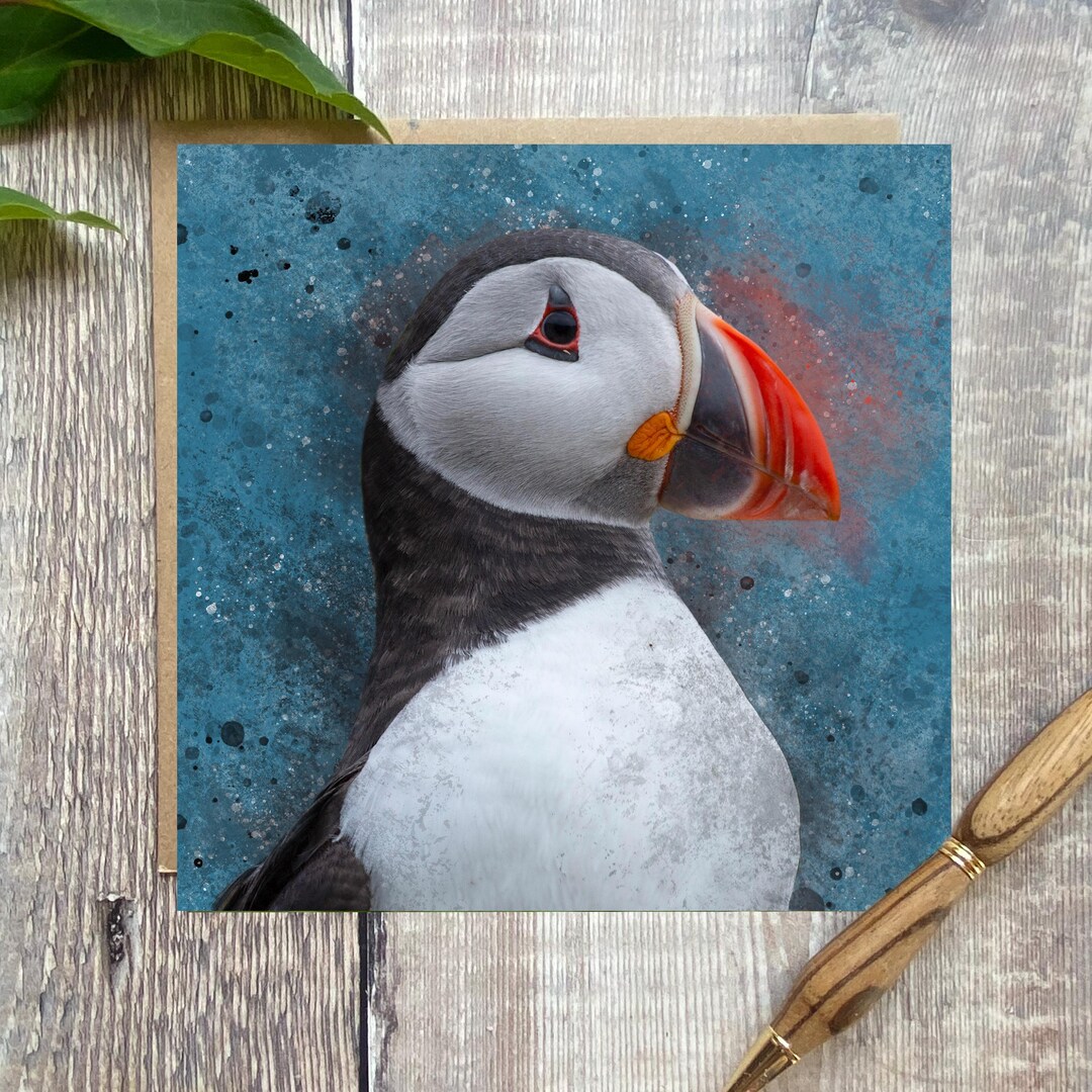 Puffin Greeting Card - Puffin Card - Atlantic Puffin Art Card - Puffin ...